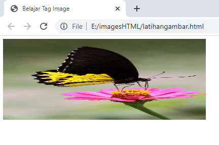 Cara Menambahkan Gambar di HTML - agussuratna.net