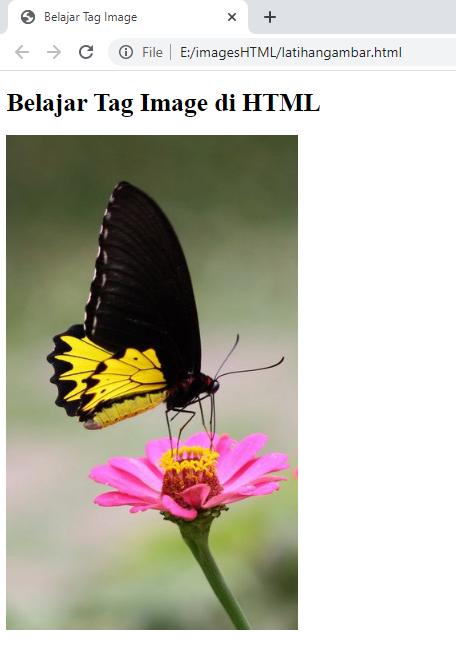 Cara Menambahkan Gambar di HTML - agussuratna.net